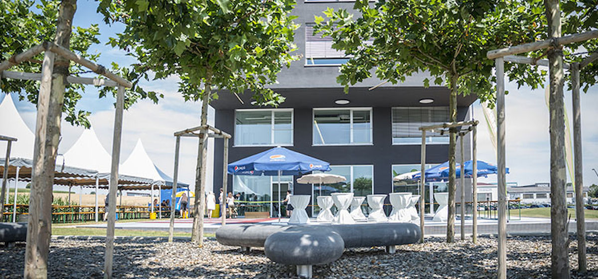 A Culinary World Tour - MOTOmed